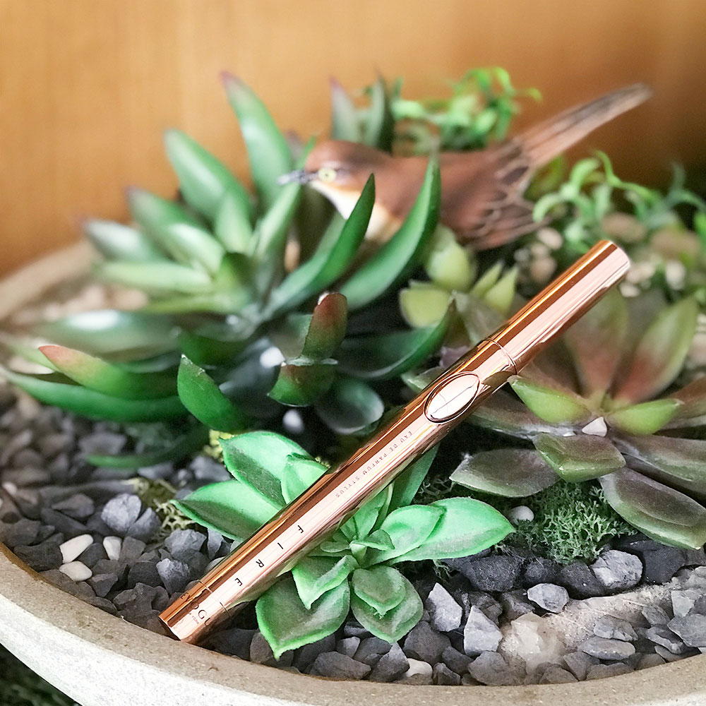 Evogue Business - Eau De Parfum Stylus